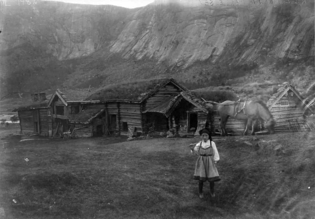 Setesdal - Norsk Folkemuseum