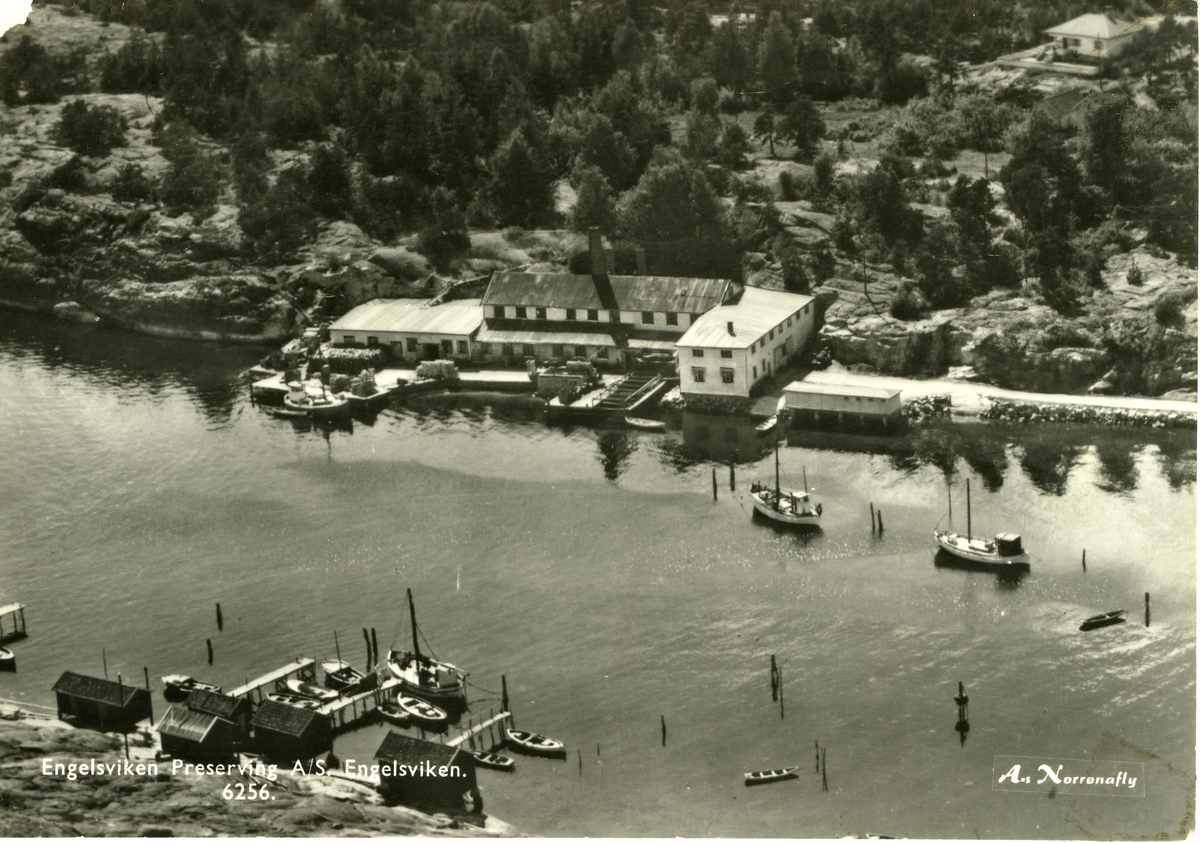 Engelsviken Preserving A/S. Fiskehermetikk. Fiskeskøyter. Engelsviken ...
