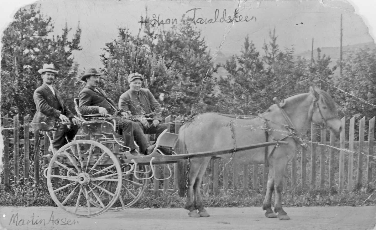 Hest og vogn med 3 menn i vogna - Anno Musea i Nord-Østerdalen / DigitaltMuseum